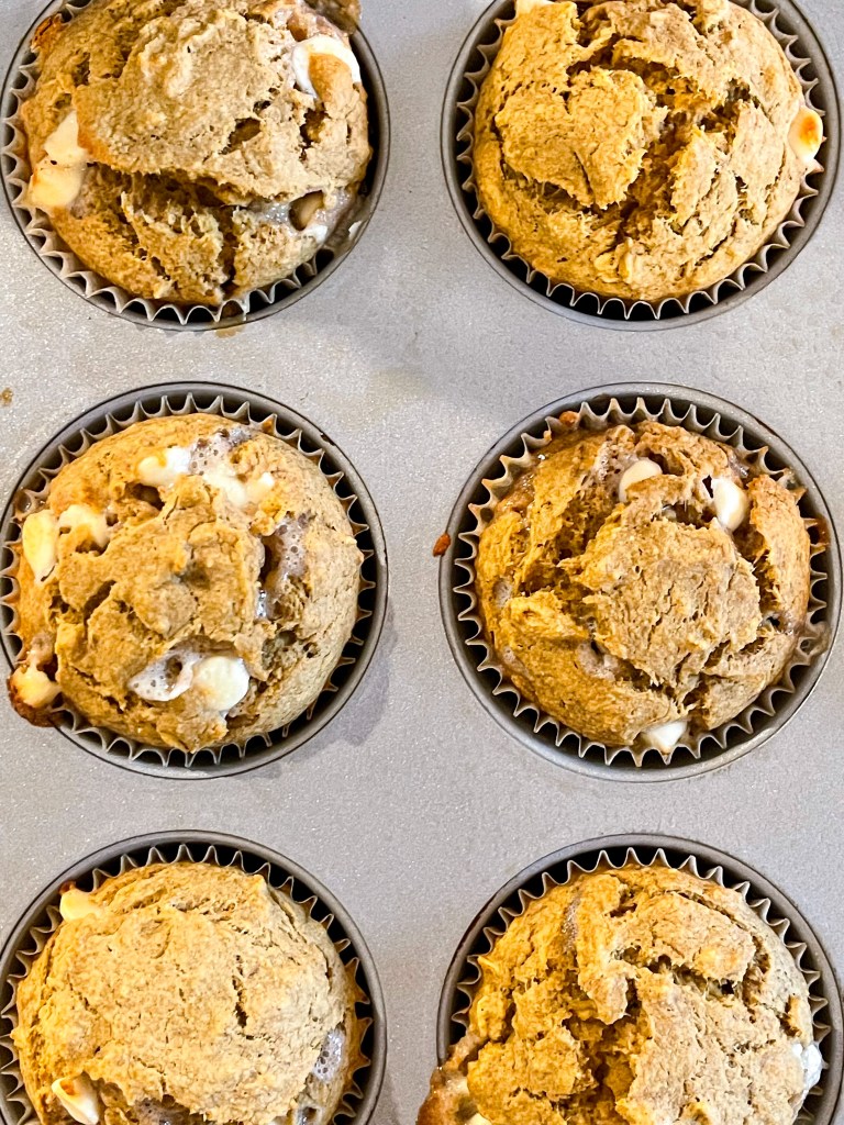 Pumpkin Spice Oatmeal Muffins - Sari Diskin